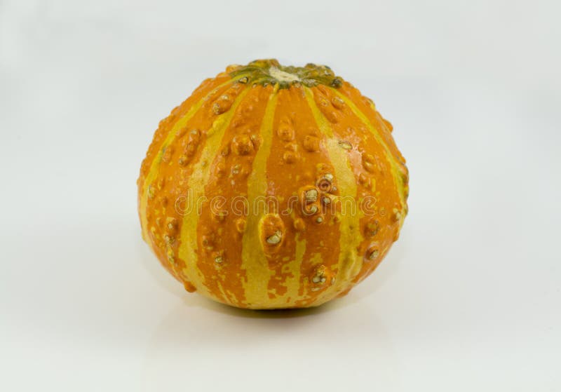 668 Orange Bumpy Gourd Photos - Free & Royalty-Free Stock Photos from ...