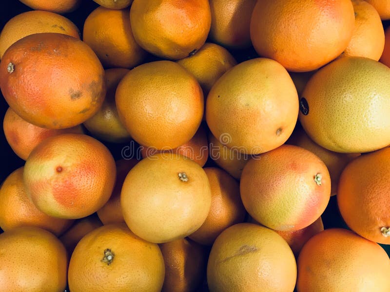 Orange stock photo. Image of orange, fruit, bunch, supermarket - 177466650