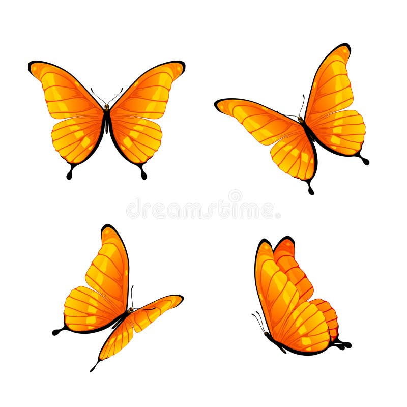 Orange Butterflies Over White Background. Seamles Vector Pattern. Stock ...