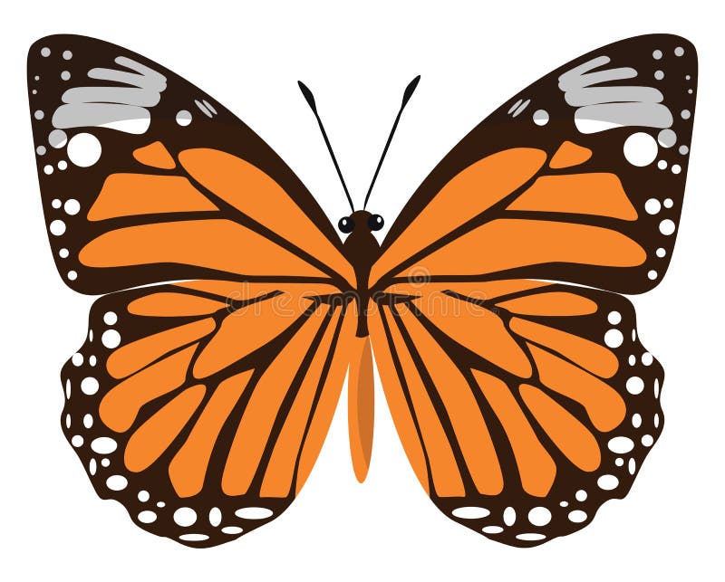 Orange butterfly, icon stock vector. Illustration of beautiful - 261379171