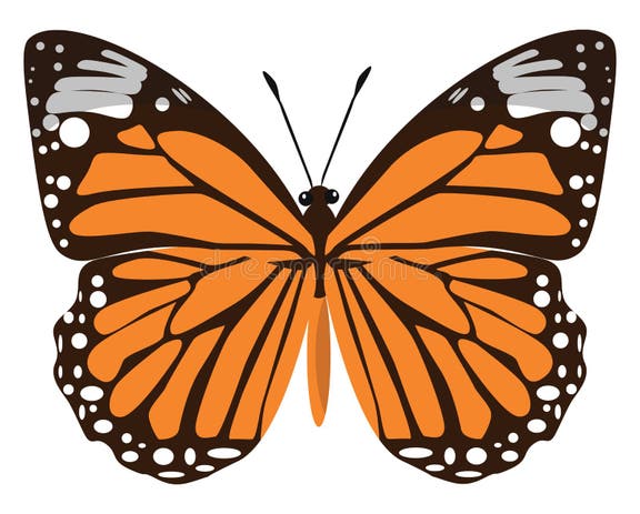 Orange butterfly, icon stock vector. Illustration of beautiful - 261379171