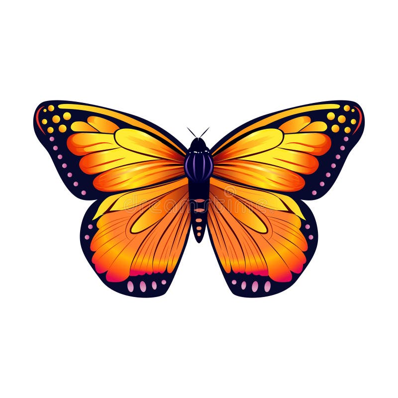 Orange Butterfly Realistic Vector Illustration Stock Vector ...