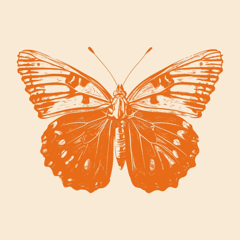 Orange Butterfly Spreading Its Wings with Detailed Patterned Design ...