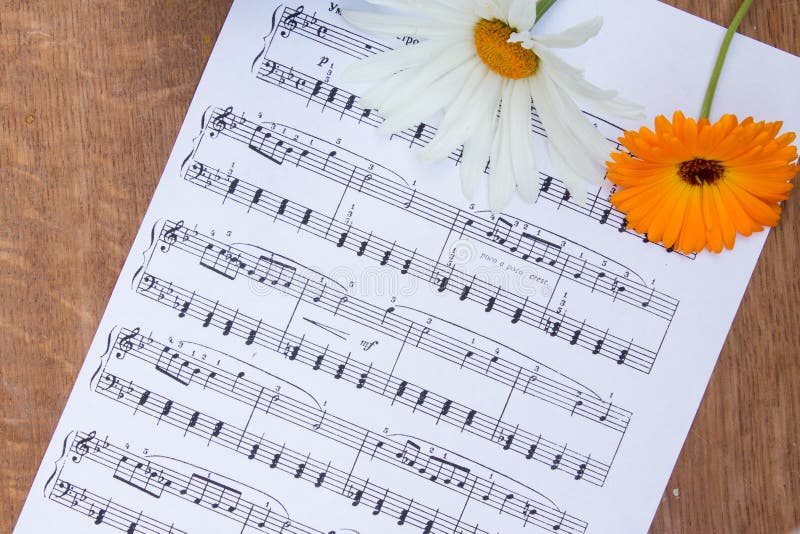 Orange Calendula Flower and White Chamomile on Music Notes Sheet Stock ...