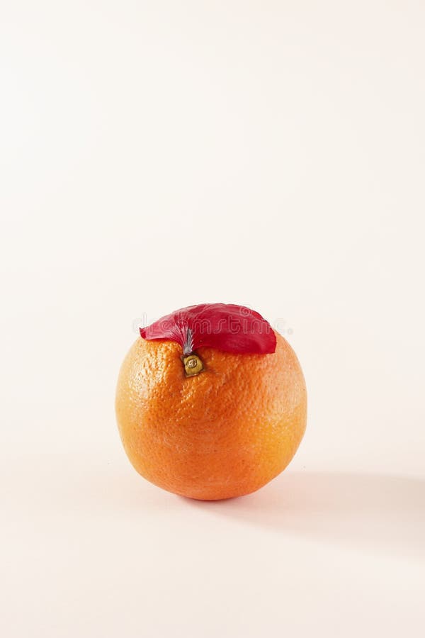 Orange with cap stock image. Image of animal, girl, isolated - 40109027