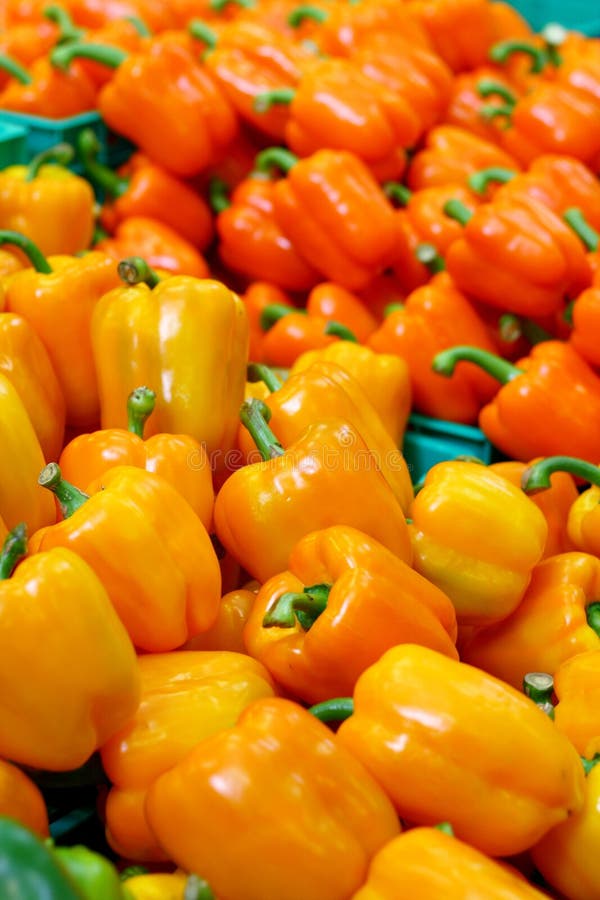 Orange Capsicum for Good Diet Stock Image - Image of plant, chili: 14382093