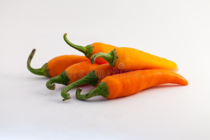 Orange Capsicum on a White Background Stock Image - Image of kitchen ...