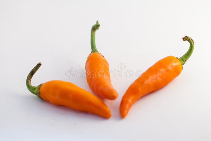 Orange Capsicum on a White Background Stock Photo - Image of pepper ...