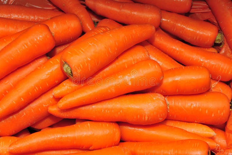 Orange Carrot Royalty Free Stock Photo - Image: 16186075