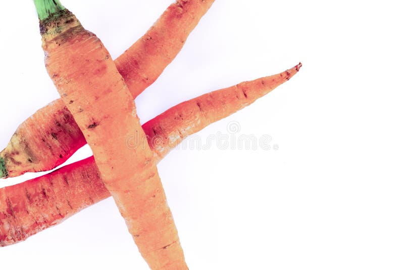 Orange Carrot Root Vegetable Closeup Lies on a White Background Stock ...