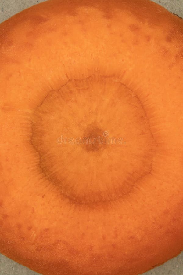 Orange carrot stock image. Image of minerals, vegan - 217021041