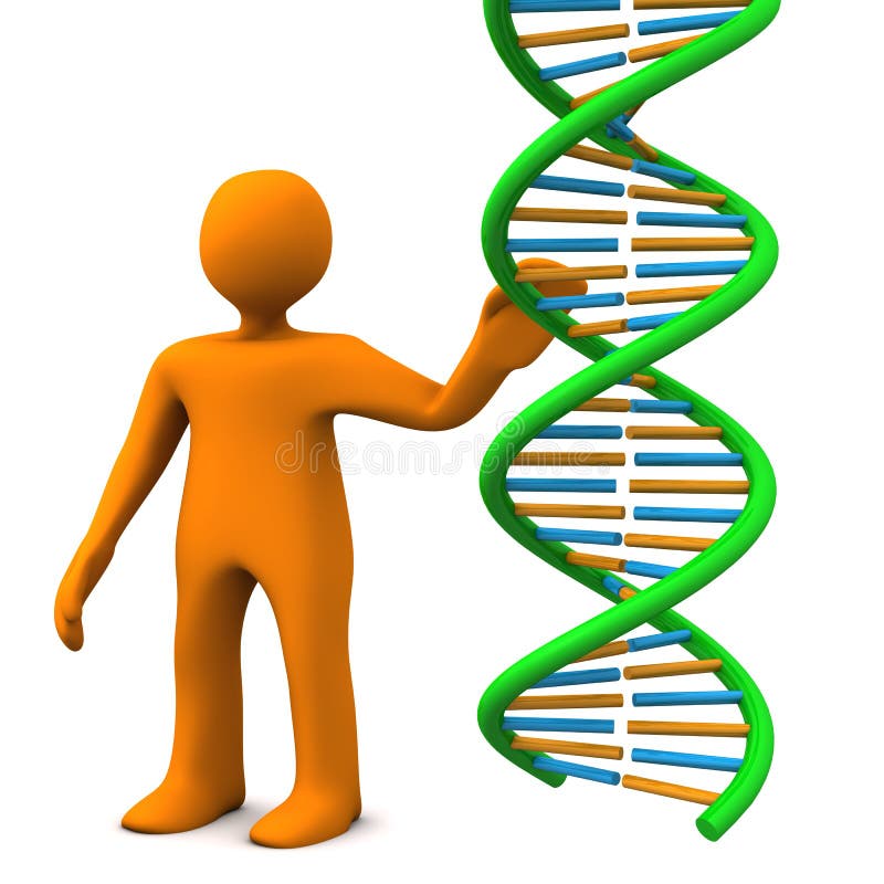 Orange Cartoon Character Dna White Background Stock Illustrations – 7 ...