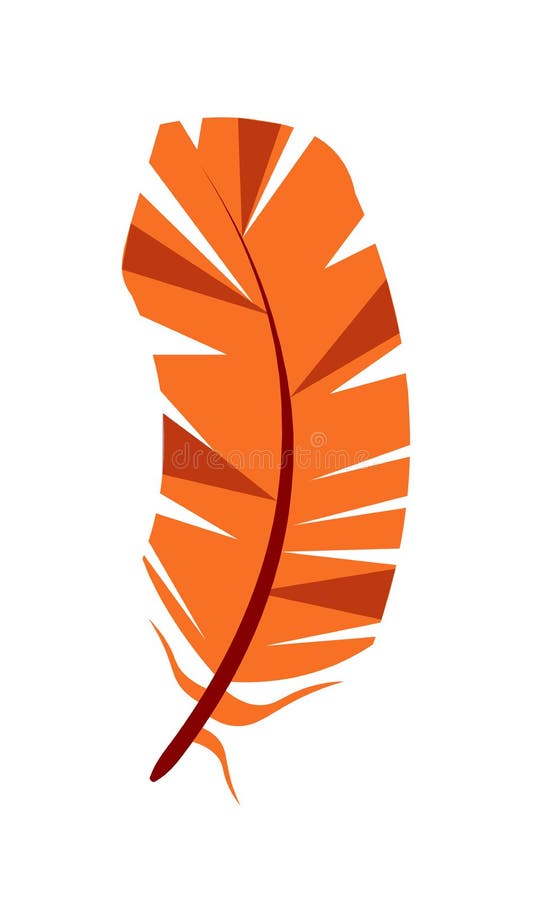 Orange Cartoon Feather Isolated on White Background Stock Vector ...