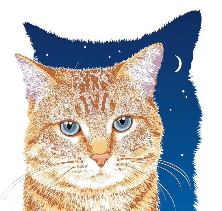 Cute Domestic Orange Cat Stock Illustrations – 45,819 Cute Domestic ...
