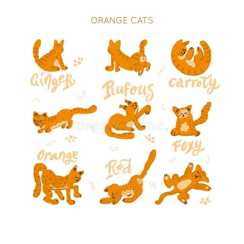 Set of Orange Cats. Vector stock illustration. Illustration of quote ...