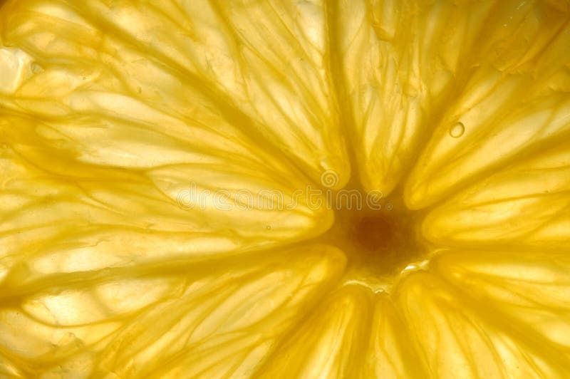 Orange cell stock photo. Image of lemom, vivid, cell - 10363944