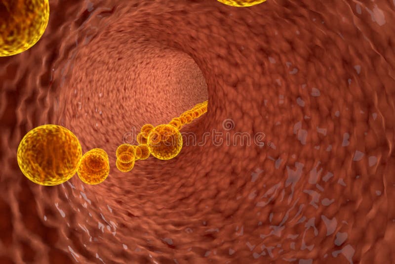 Orange cells stock video. Video of line, life, group - 65568701