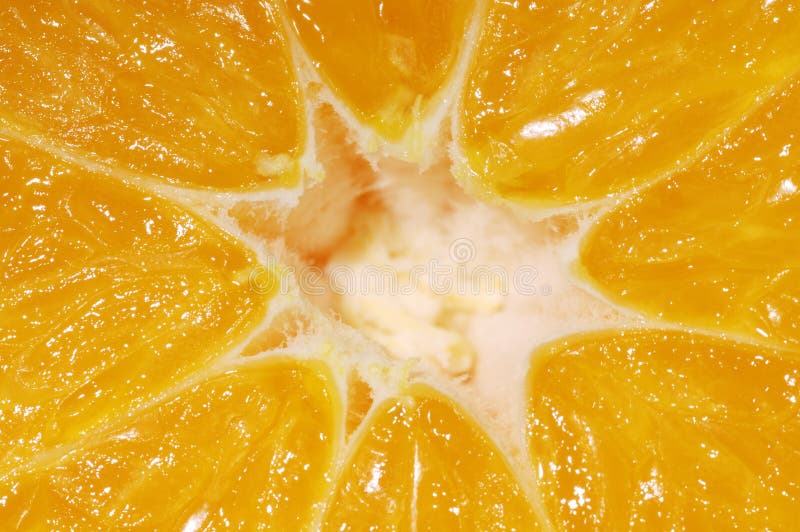 Orange center stock image. Image of pattern, fruit, star - 18956577