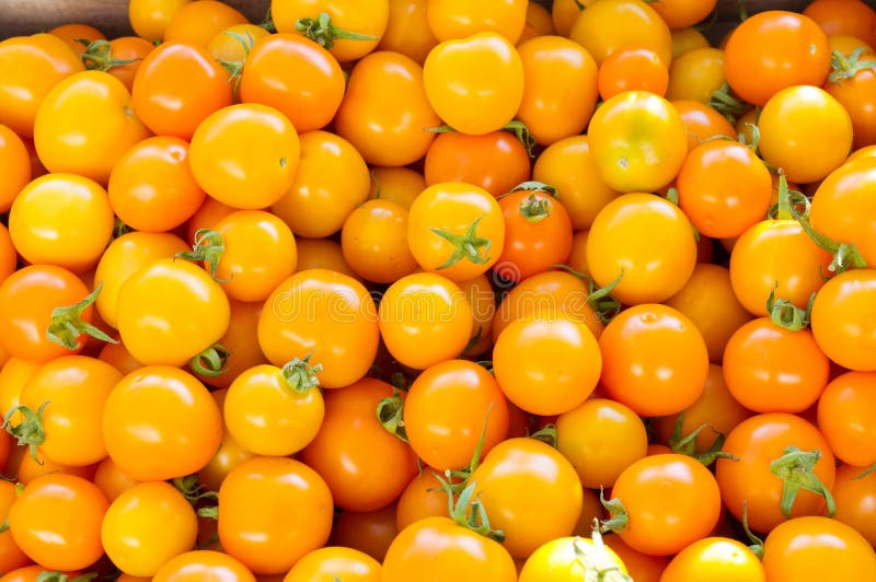 Orange cherry tomatoes stock image. Image of vegetables - 21095641