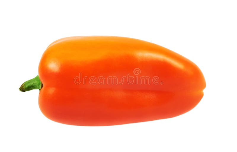 Red Chili Bell Pepper Plant Stock Photo - Image of fruit, capsicum: 6936124