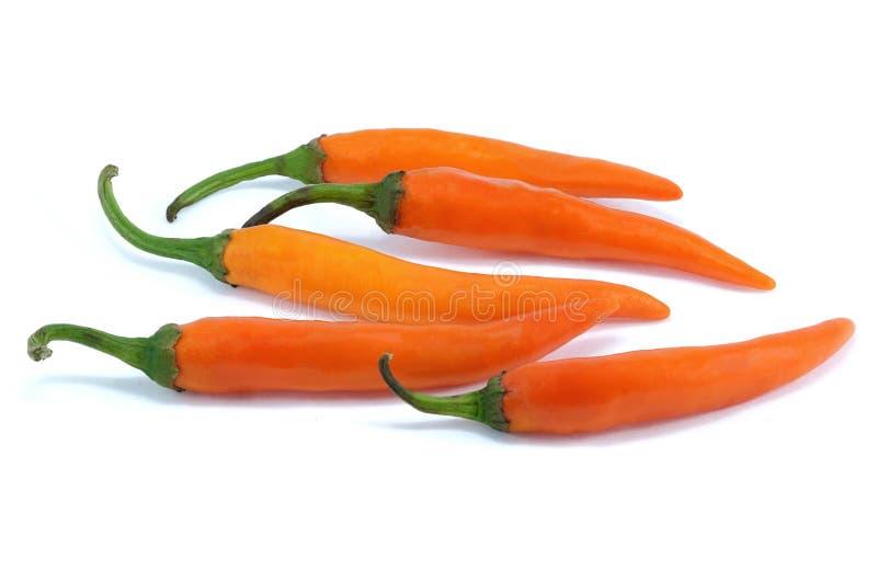 Red and Orange Chili Peppers. Stock Photo - Image of orange, peppers ...