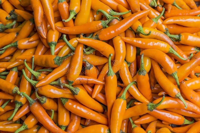 Orange Chili Peppers, Closeup View Stock Photo - Image of cayenne ...