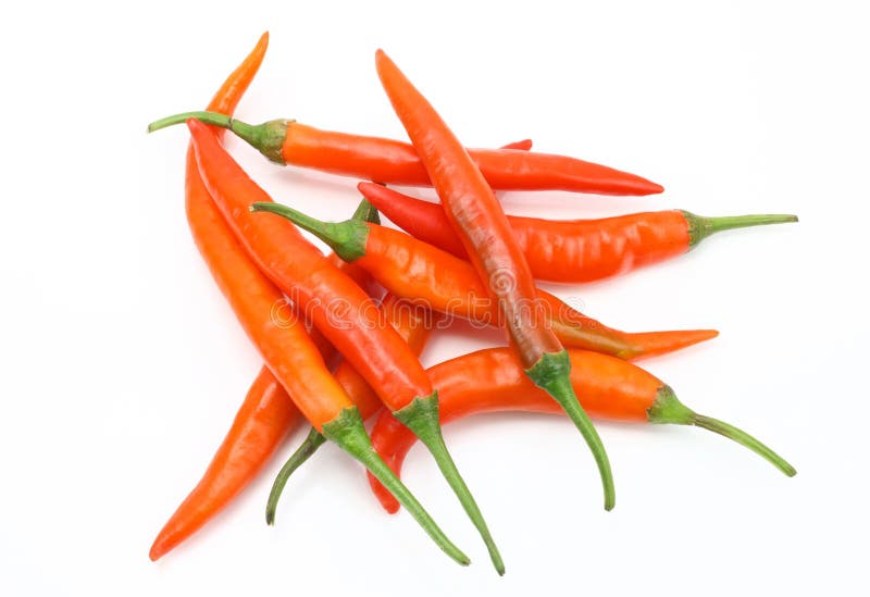 Orange Chilli stock photo. Image of flavor, nature, fresh - 14159318