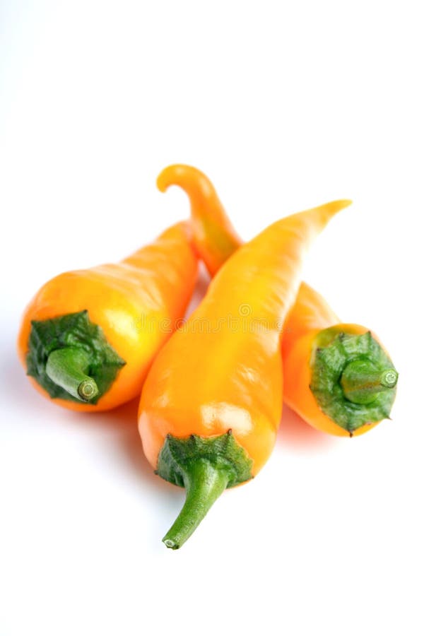 Orange Chilli stock photo. Image of cooking, green, chilli - 51665504