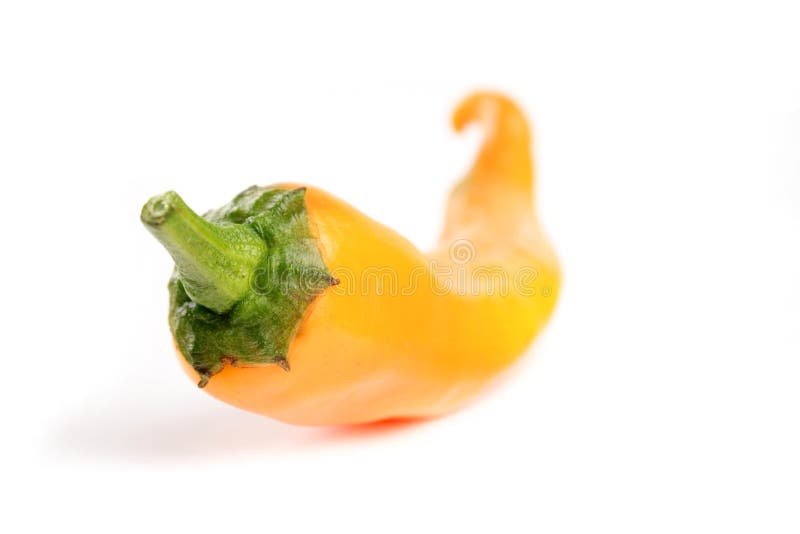 Orange Chilli stock image. Image of health, capsicum - 51669979
