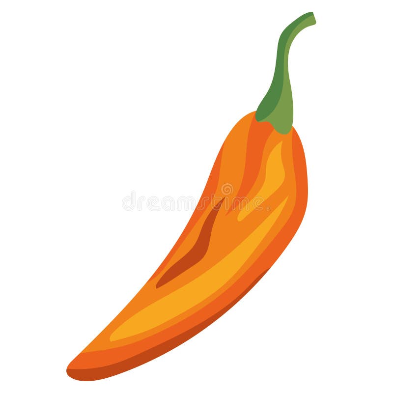 Orange Chilli Pepper Illustration Stock Illustration - Illustration of ...