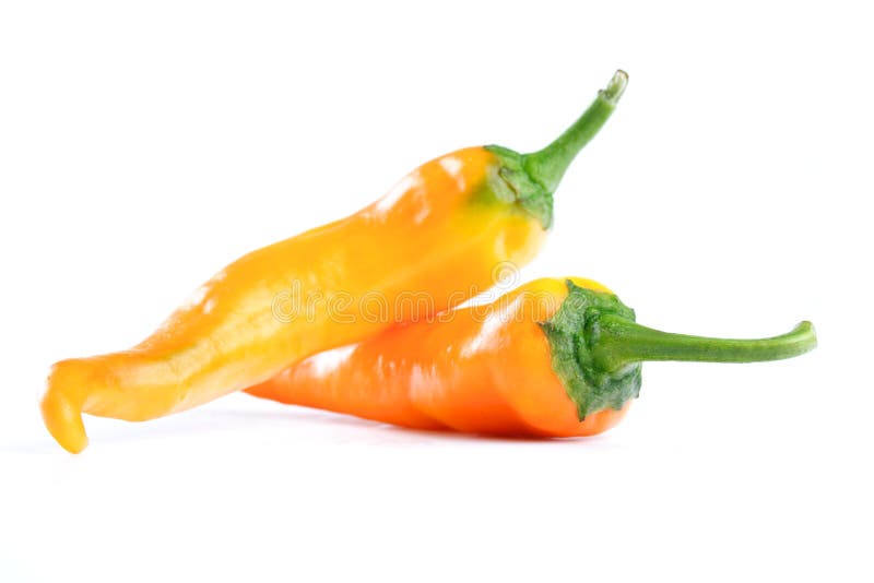 Orange Chilli stock image. Image of fresh, jalapeno, cayenne - 51664173
