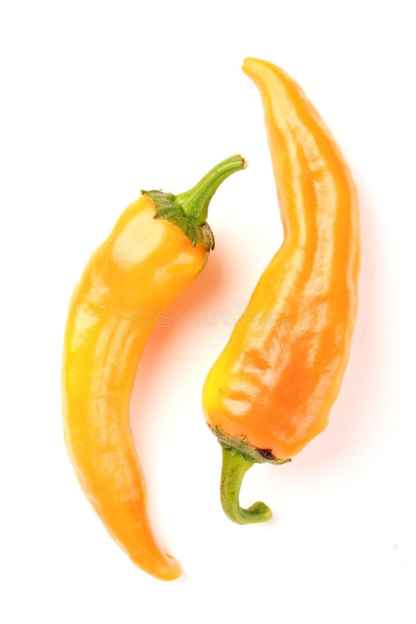 Orange Chilli stock photo. Image of chili, closeup, object - 51668006