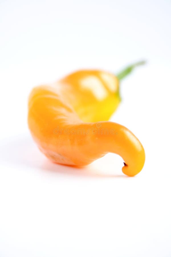 Orange Chilli stock image. Image of healthy, juicy, eating - 51669109