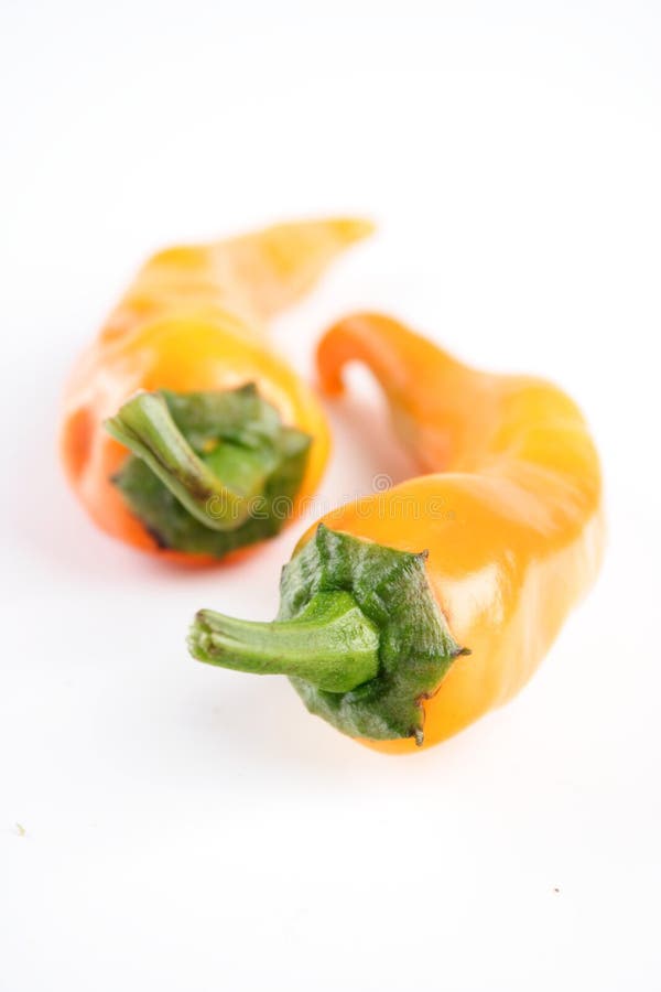 Orange Chilli stock photo. Image of color, cooking, macro - 51665280