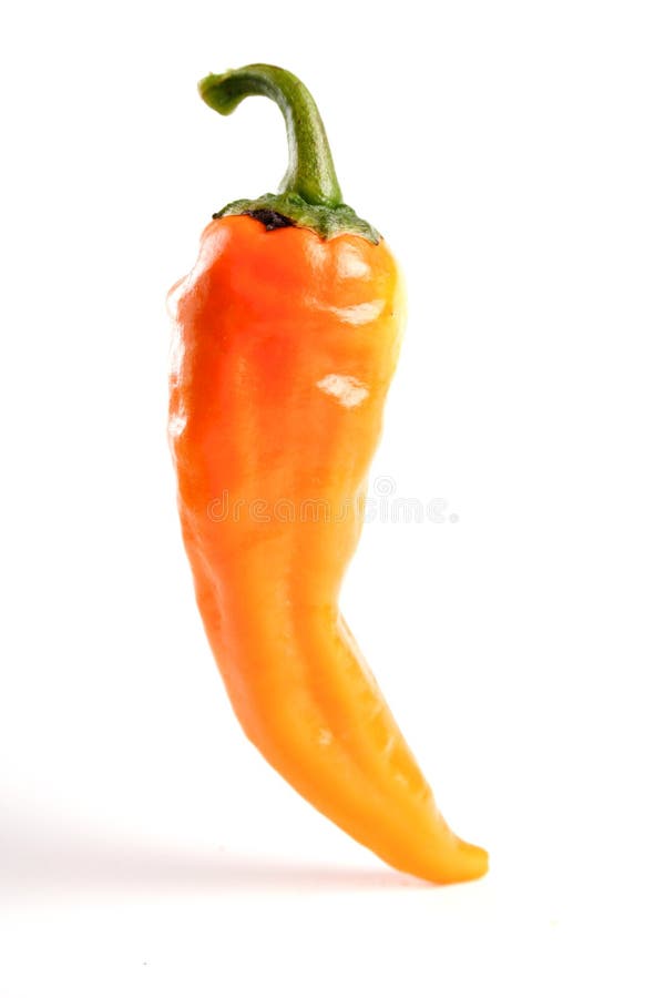 Orange Chilli stock image. Image of fresh, jalapeno, cayenne - 51664173