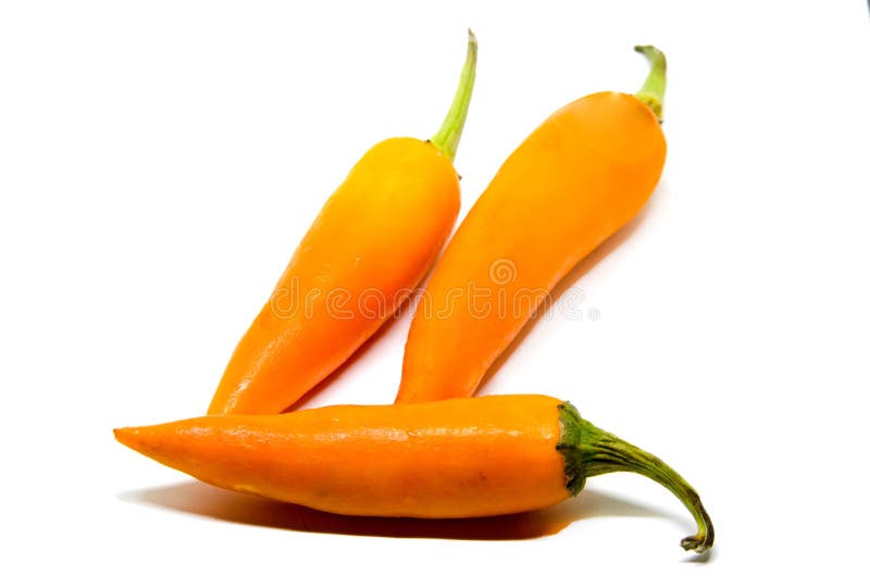 Orange chilli stock photo. Image of color, spice, fresh - 75088958