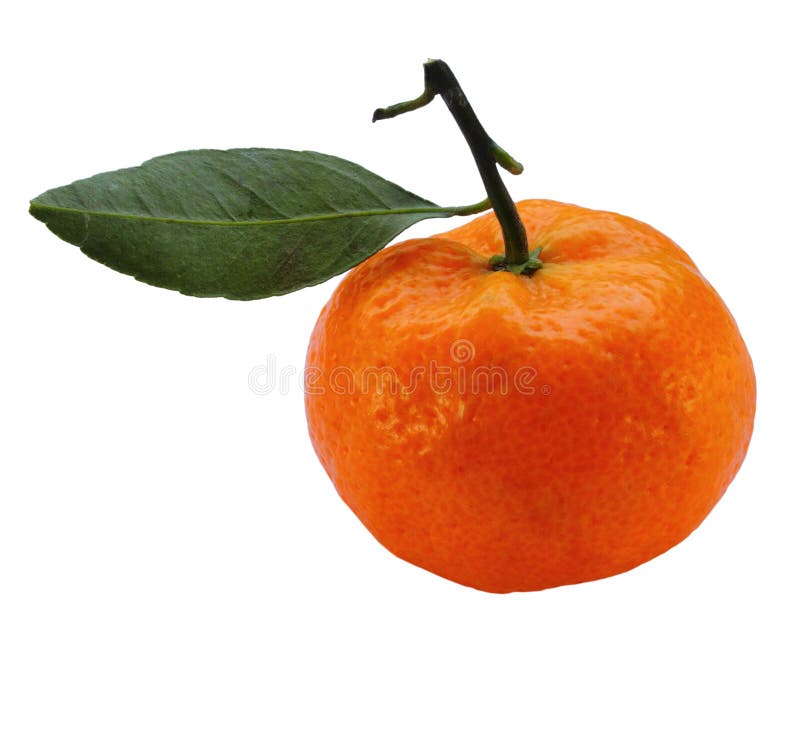 Orange of China. stock image. Image of organic, ripe - 23382787