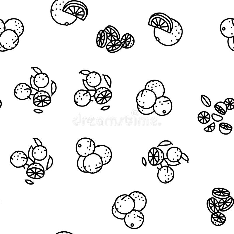 Fresh Citrus Outline Seamless Pattern Stock Illustrations – 1,399 Fresh ...