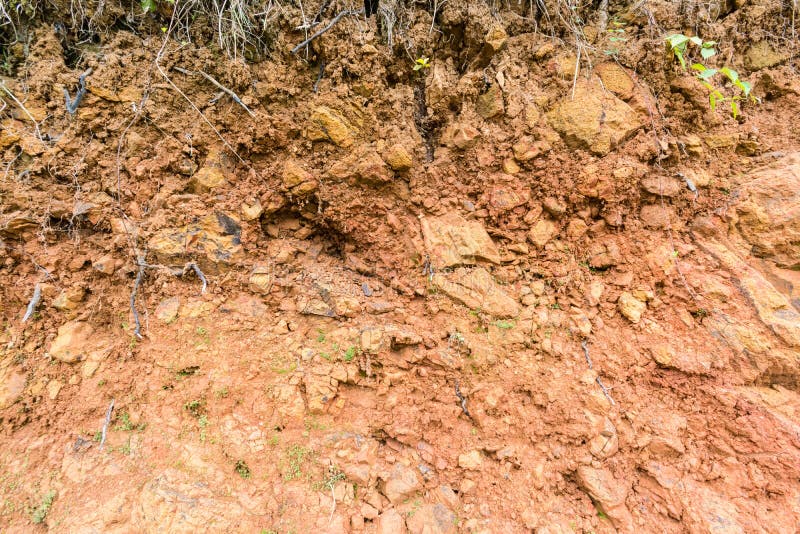Orange clay soil stock photo. Image of beauty, ground - 100716594