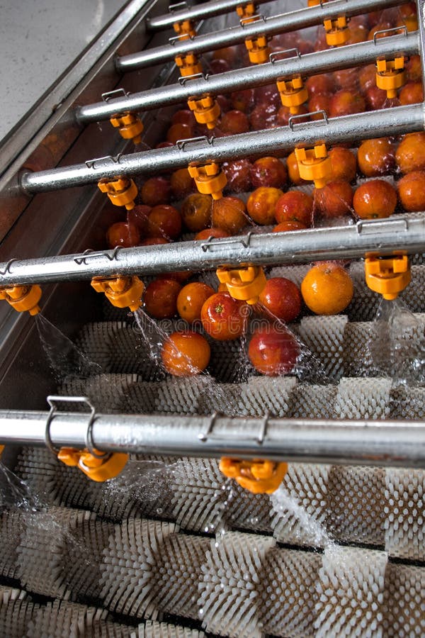 Orange cleaning process stock photo. Image of production - 52604292