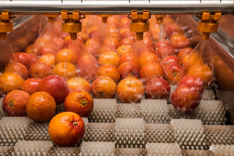 Orange cleaning process stock photo. Image of production - 52604292