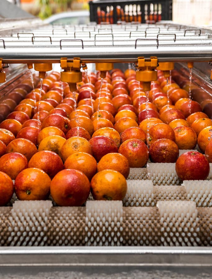 Orange cleaning process stock photo. Image of brush, rolling - 52603958