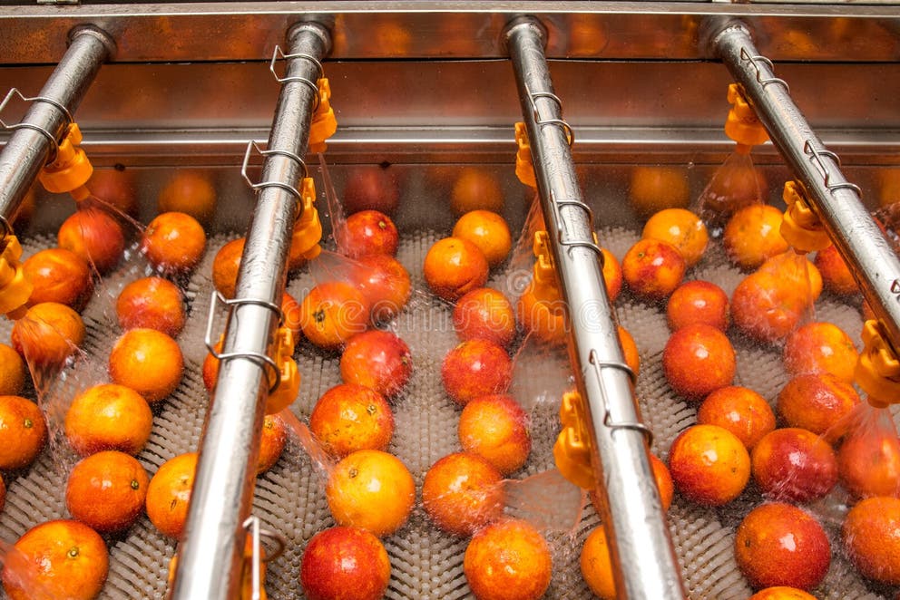 Orange cleaning process stock photo. Image of production - 52604292