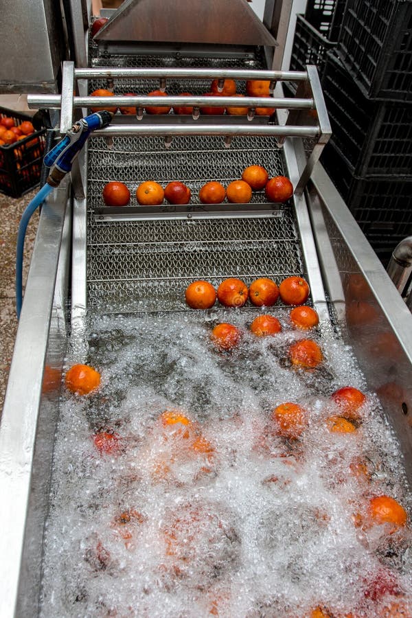 Orange cleaning process stock image. Image of rapid, transportation ...