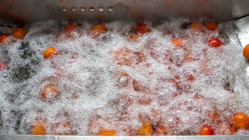 Orange cleaning process stock photo. Image of production - 52604292