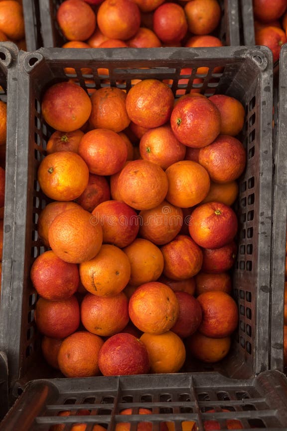 Orange cleaning process stock image. Image of roller - 52607581