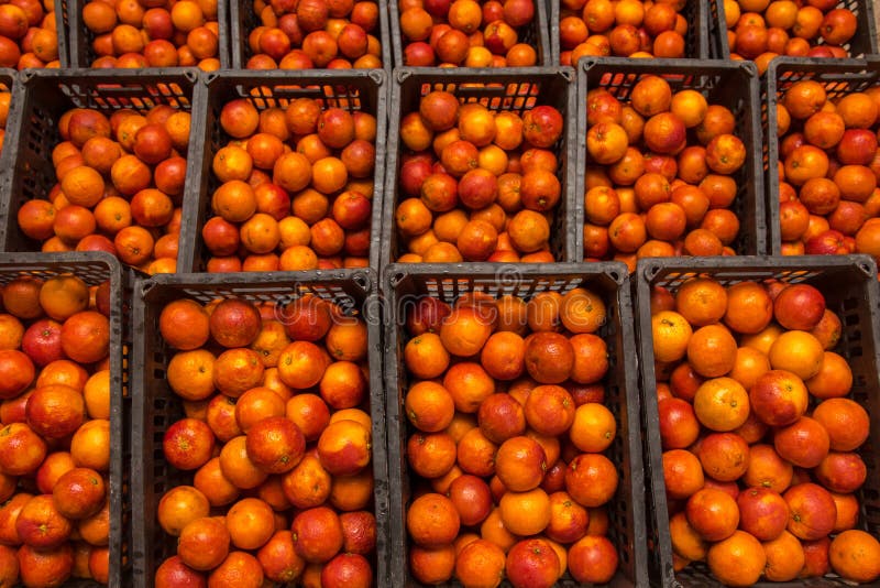 Orange cleaning process stock photo. Image of production - 52604292