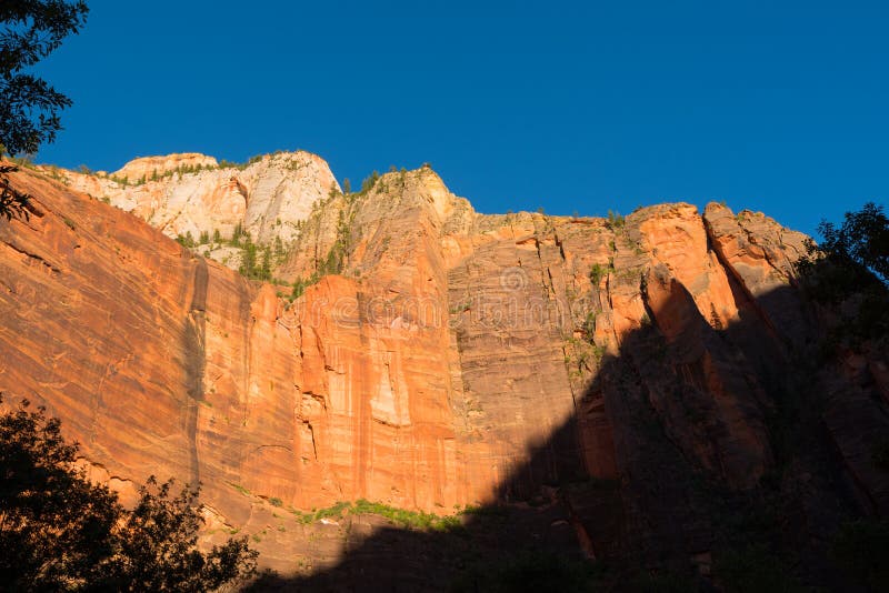 Orange cliff face at Zion stock image. Image of zion - 244896653