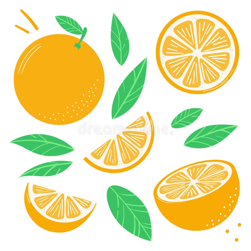 Orange Clip Art Vector Illustration Set Stock Vector - Illustration of ...