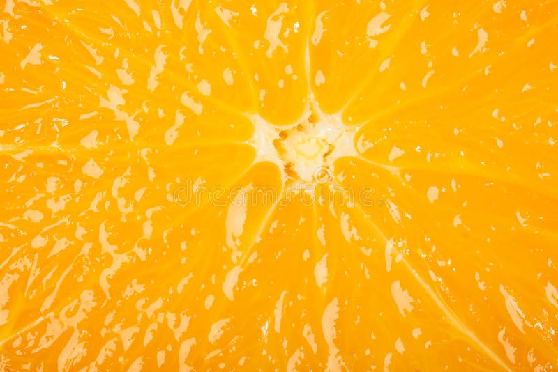 Orange in close up stock image. Image of citrus, fruity - 98494577